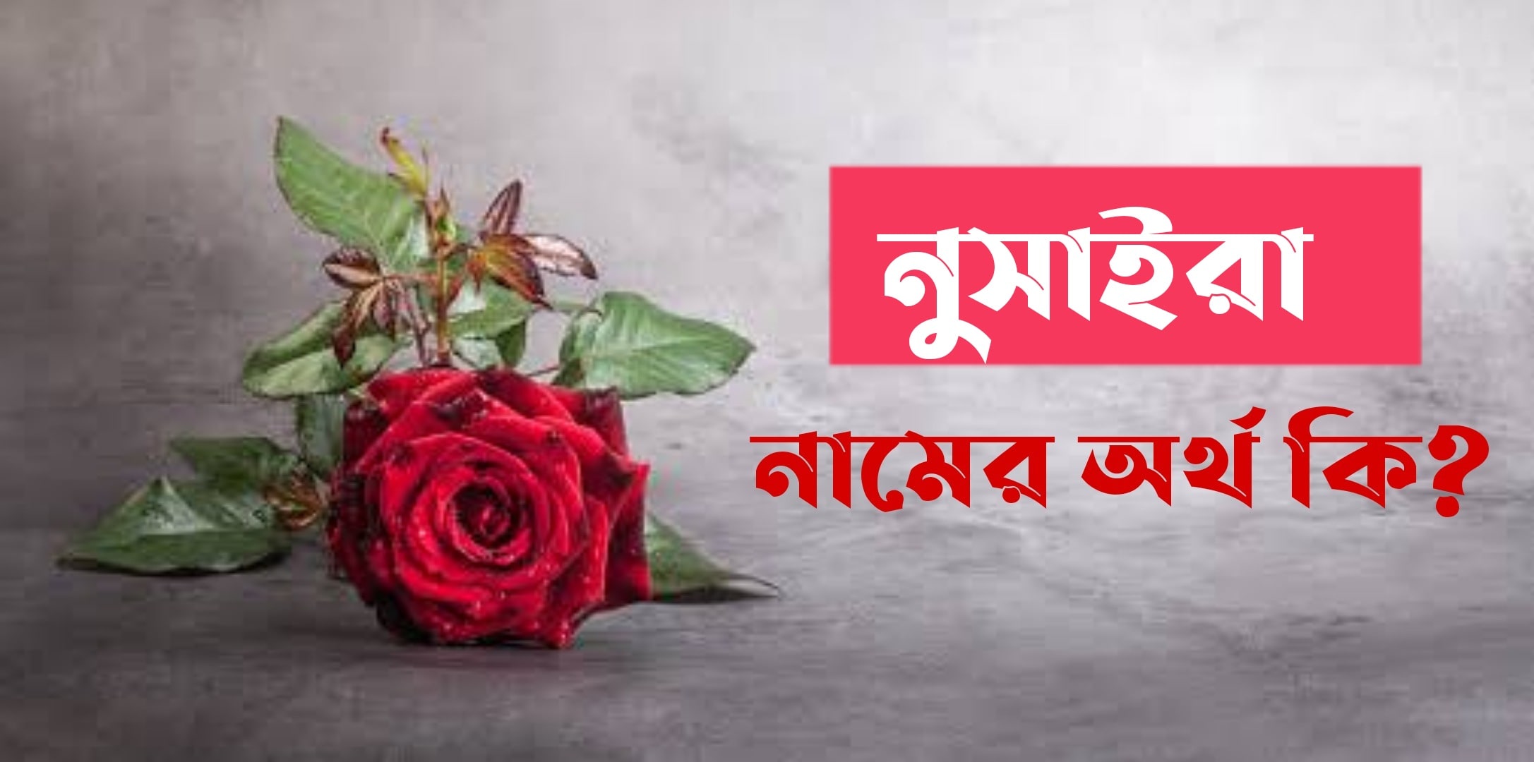 Nusaira Name Meaning In Bengali Name Bangla Nusaira Name Meaning In Bengali Name Bangla