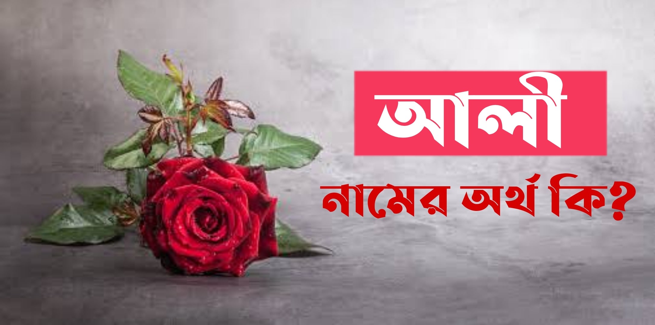  Ali Name Meaning In Bengali Name Bangla